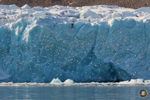Longyearbyen in Svalbard: The northernmost city in the world